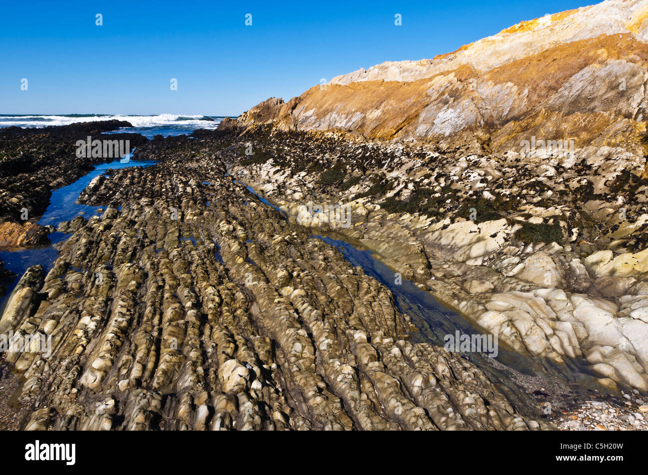 Colorful sedimentary rock and tidepools, Montana de Oro State Park ...
