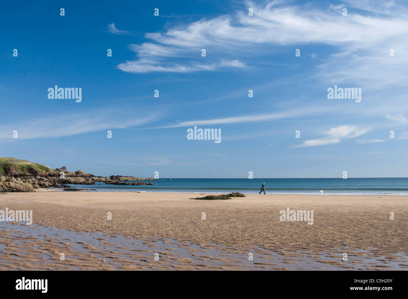 Lone walker on Coldingham bay - Scottish Borders Stock Photo - Alamy