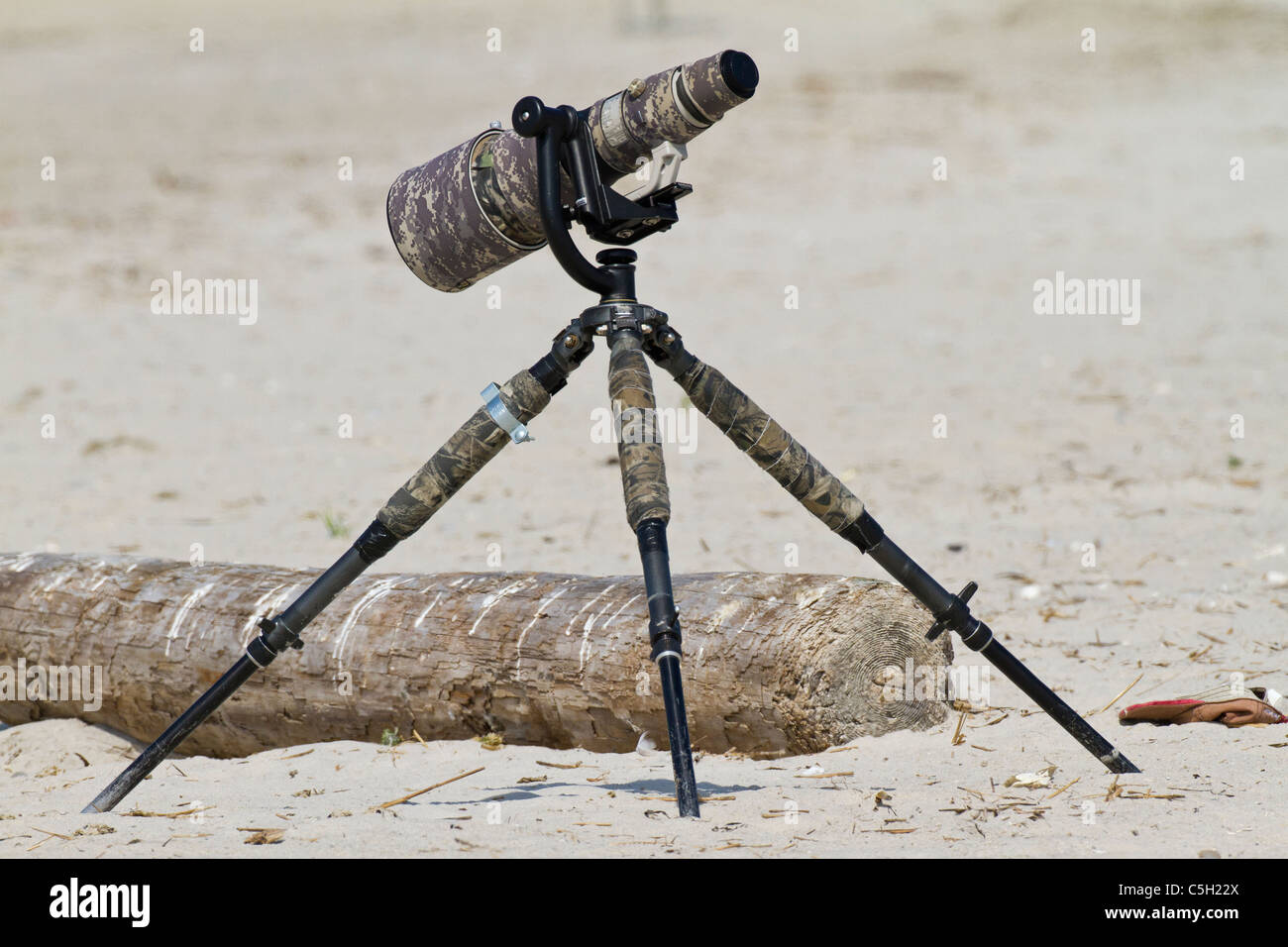 Long telephoto lens on the tripod Stock Photo - Alamy
