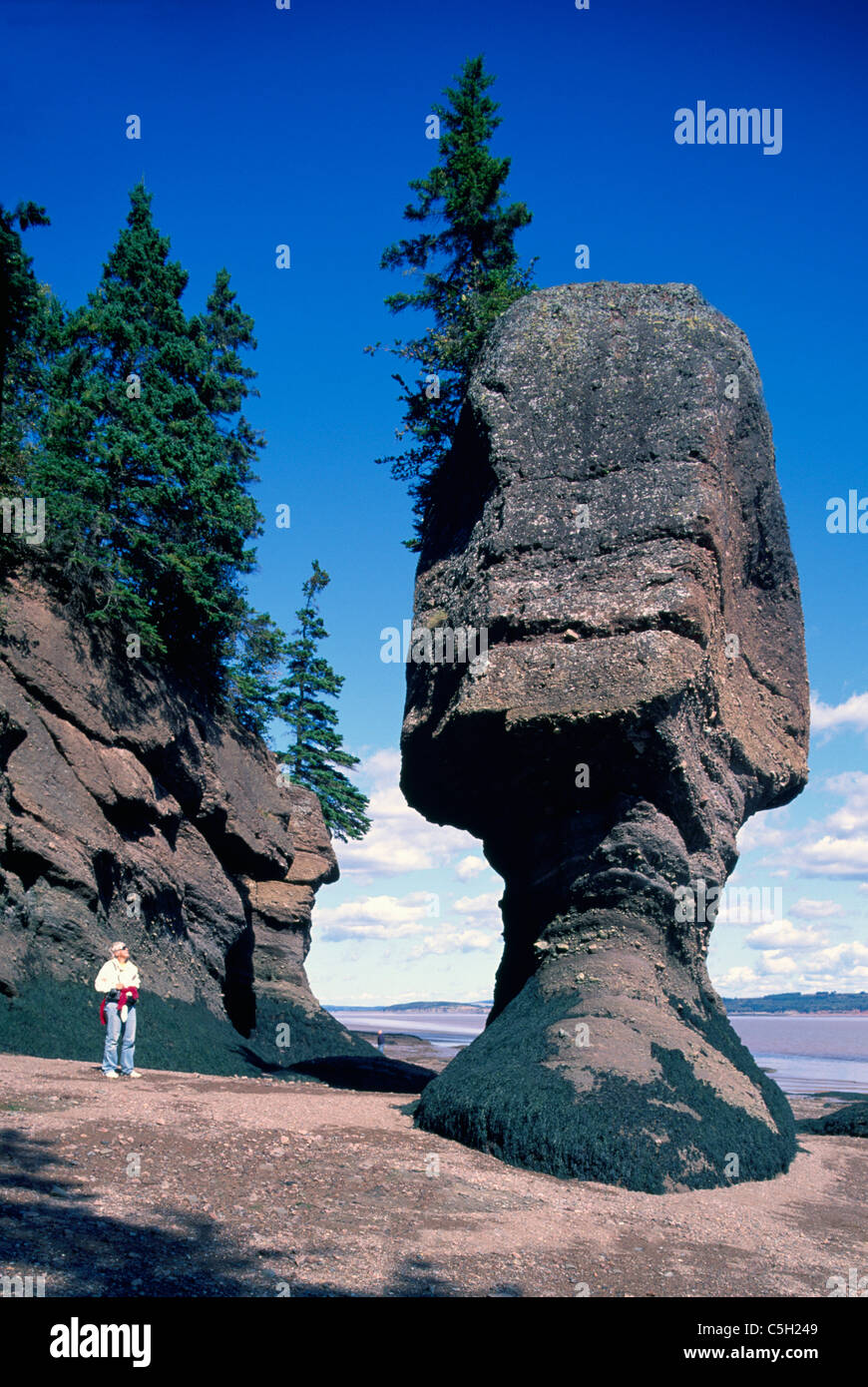 Flowerpot rock formations hi-res stock photography and images - Alamy