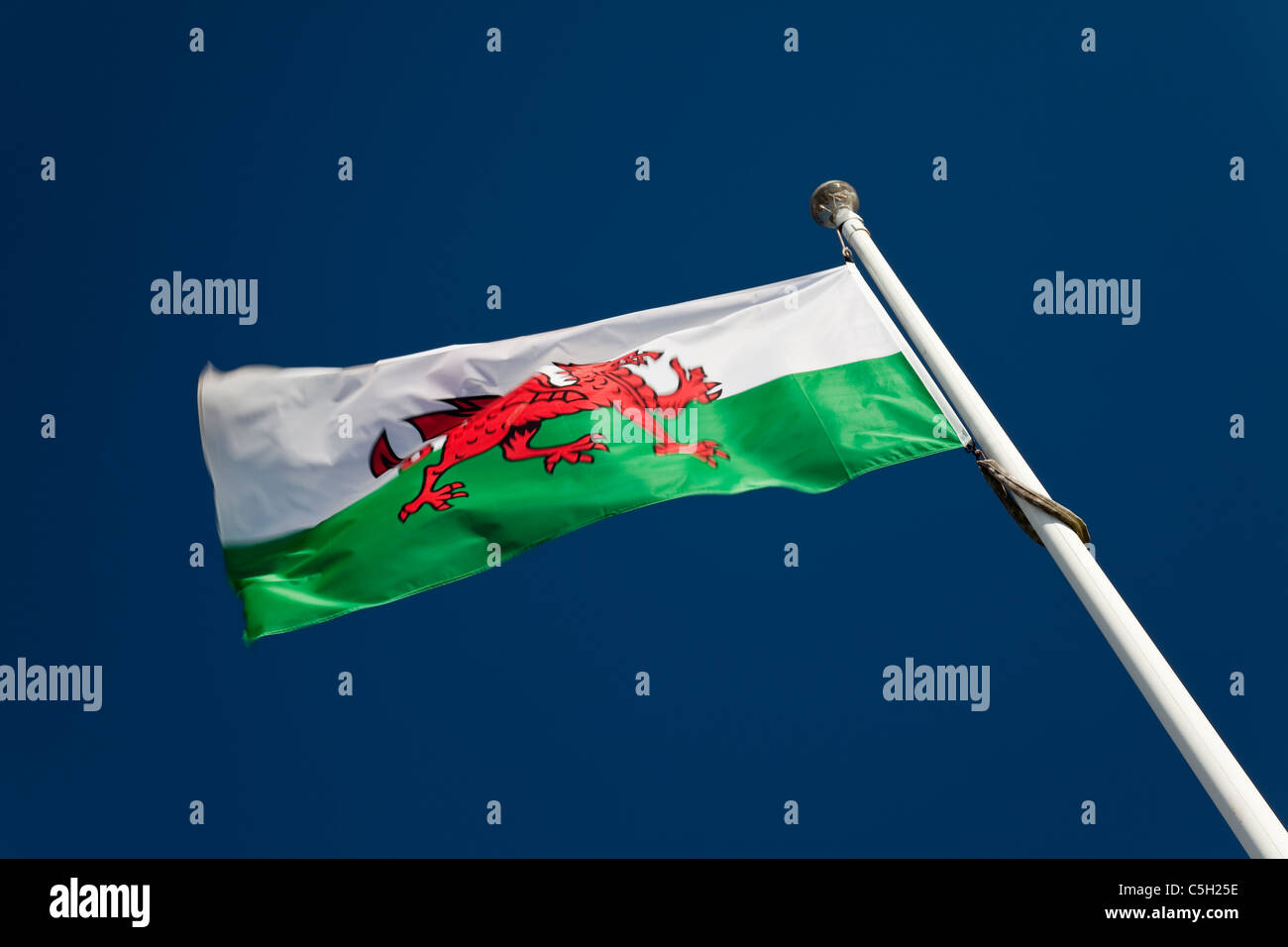 White wales flag hi-res stock photography and images - Alamy