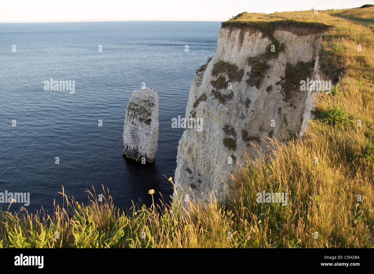 A chalk stack, one of a line of stacks called The Pinnacles. They stand ...