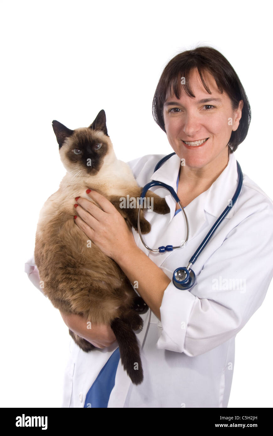 Cat physical examination hi-res stock photography and images - Alamy