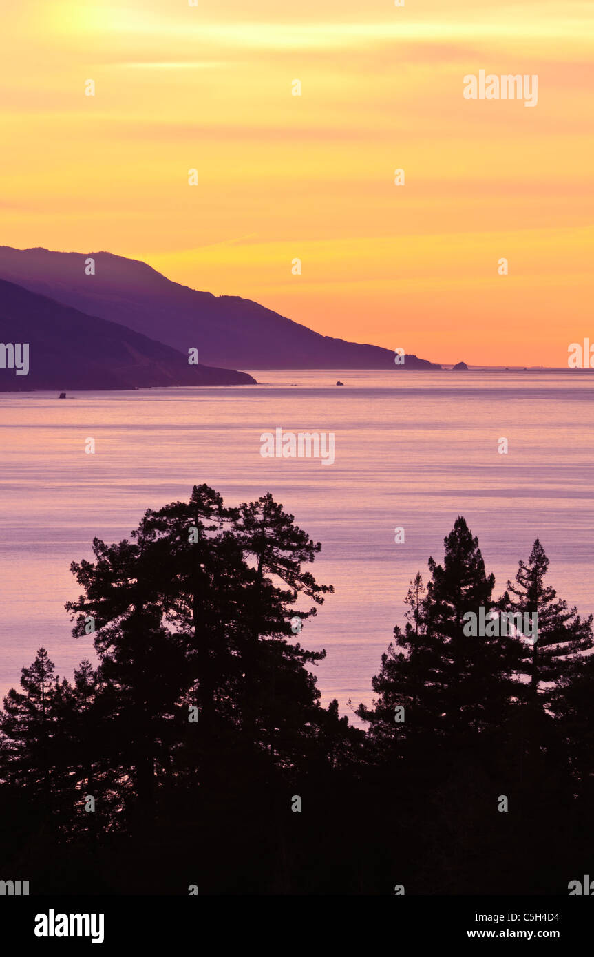 Morning light on the Big Sur coast, California Stock Photo - Alamy