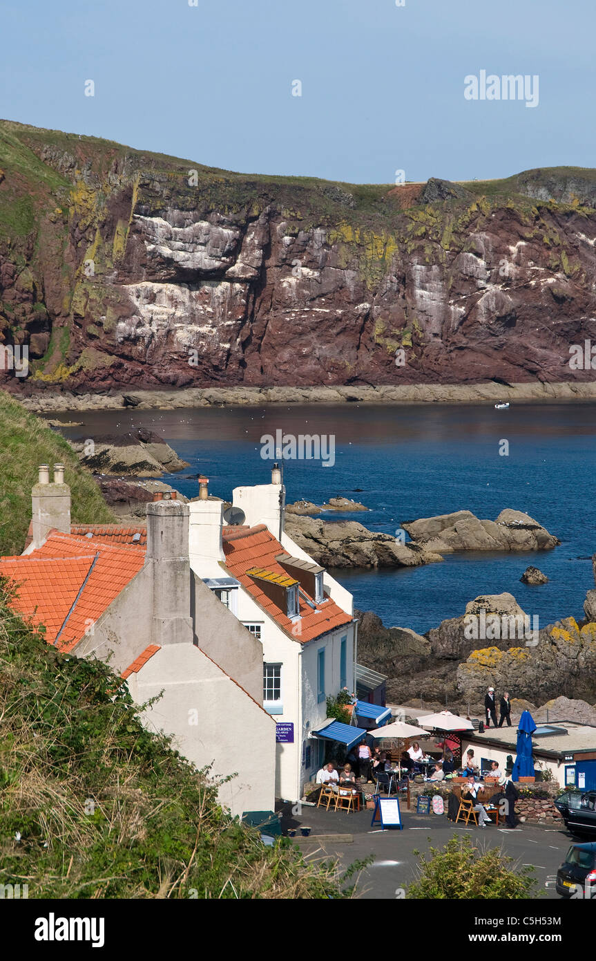 St Abbs village and harbour buildings Stock Photo - Alamy