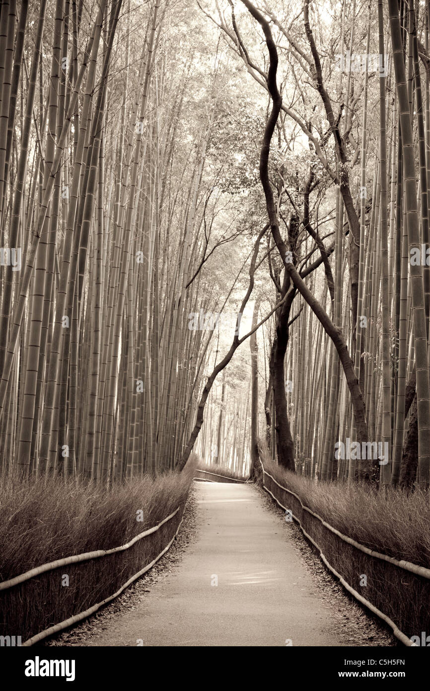 Famous and popular tourist attraction, the fenced wide pathway leading ...