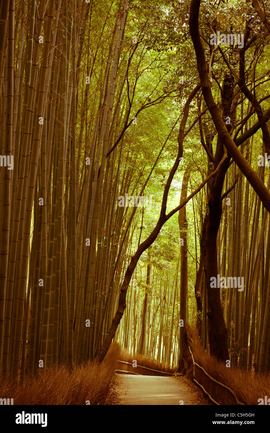 Famous and popular tourist attraction, the fenced wide pathway leading ...