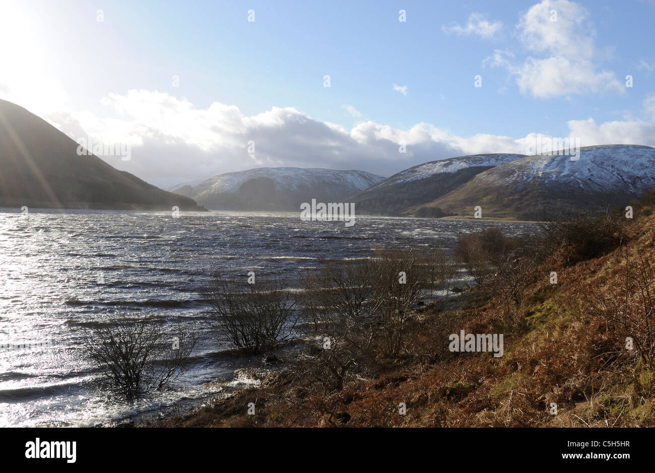 St marys loch hi-res stock photography and images - Alamy