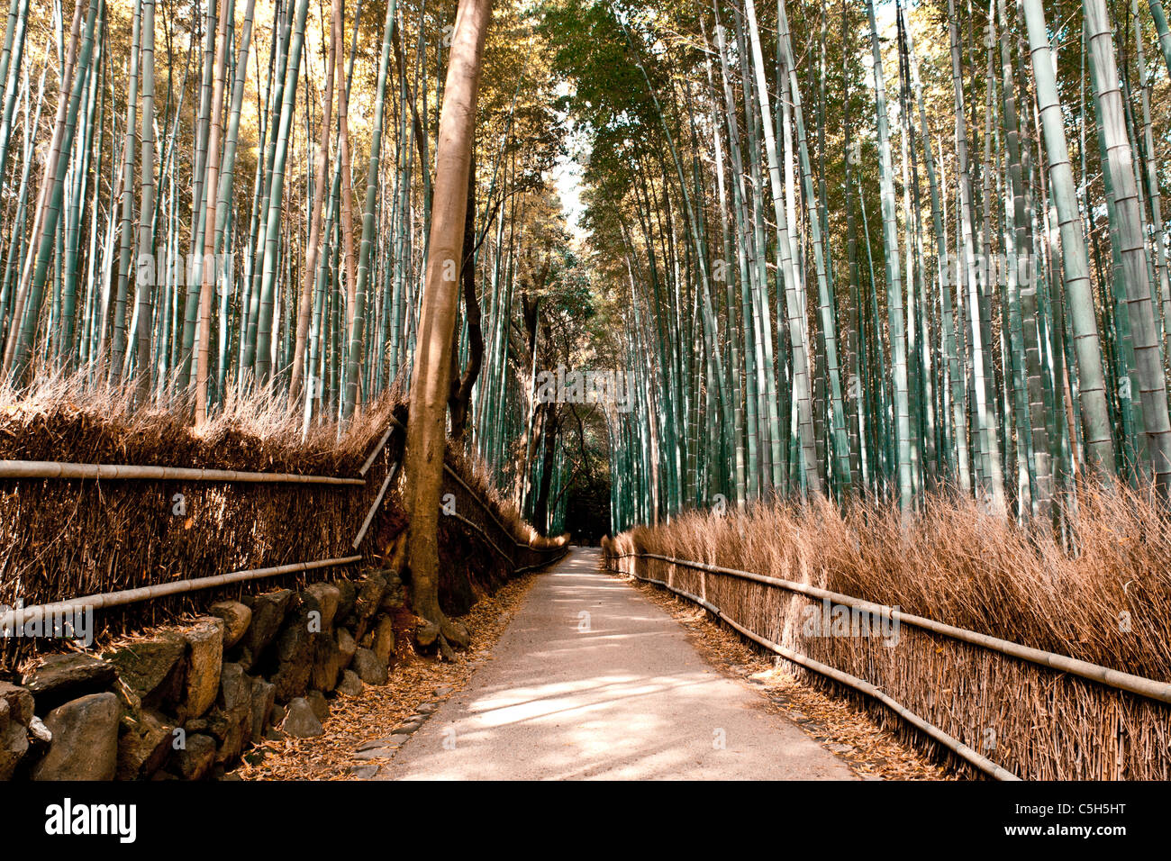 Famous and popular tourist attraction, the fenced wide pathway leading ...