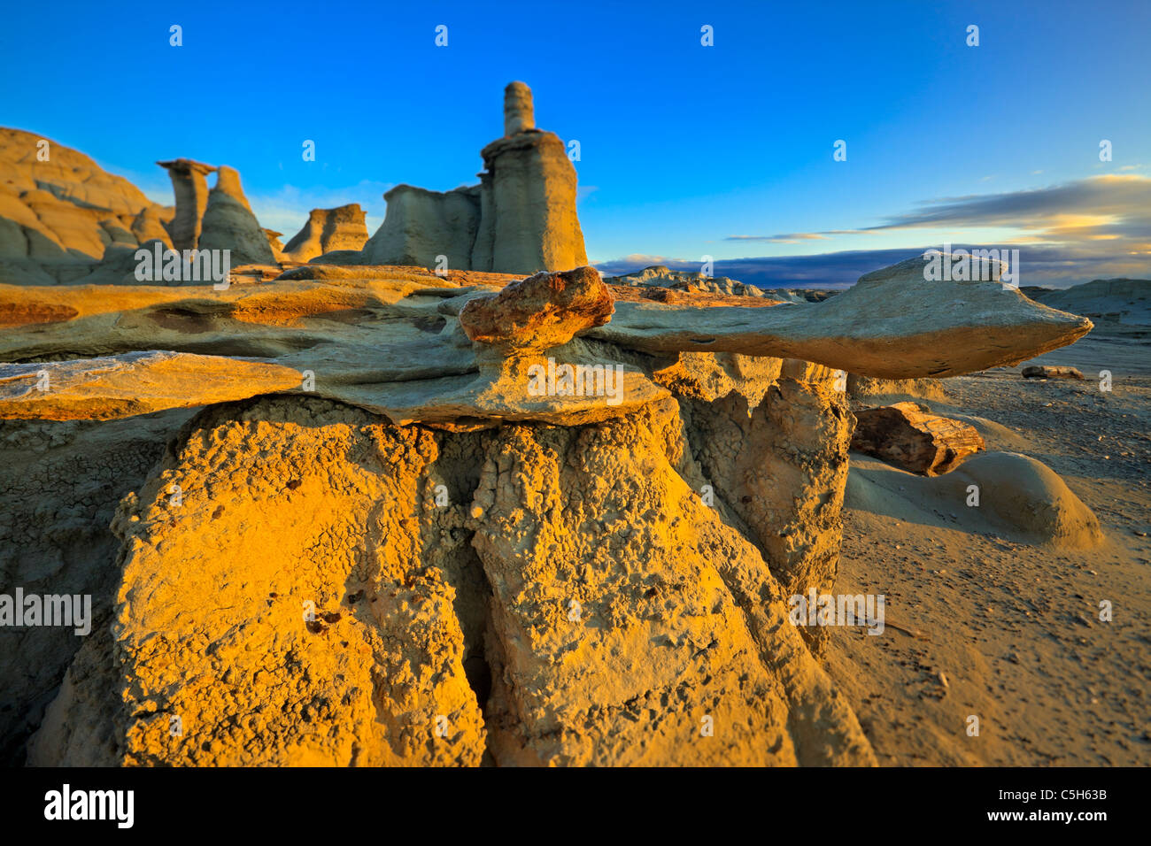 Bisti & De Na Zin Wilderness, New Mexico, USA Stock Photo - Alamy