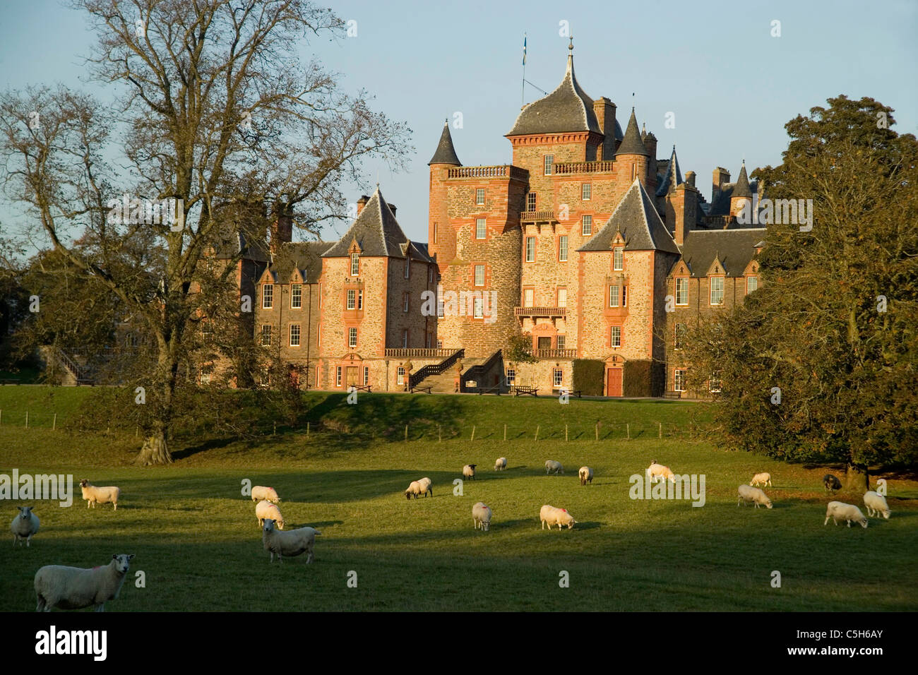 Grazing and the parkland trees hi-res stock photography and images - Alamy