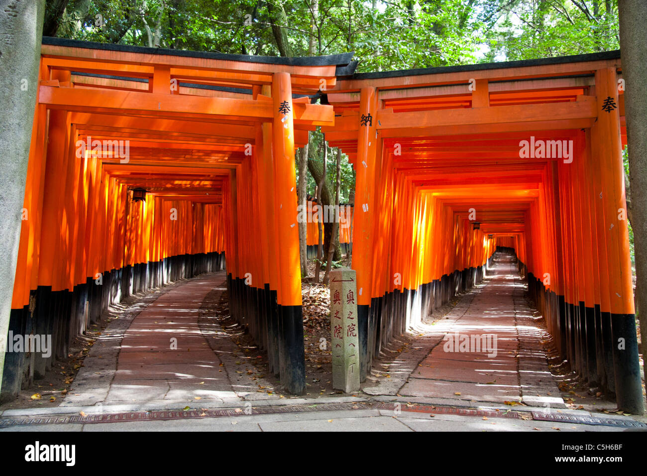 The famous corridor of thousands of orange Torii gates, of the Fushimi ...