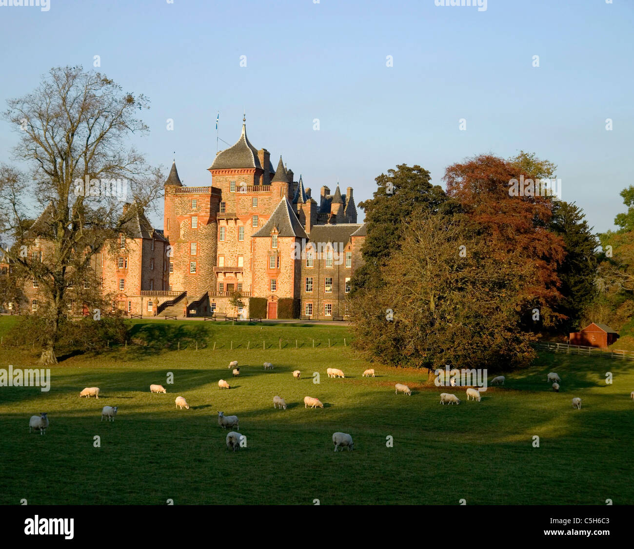 Thirlestane Castle with sheep in foreground Stock Photo - Alamy