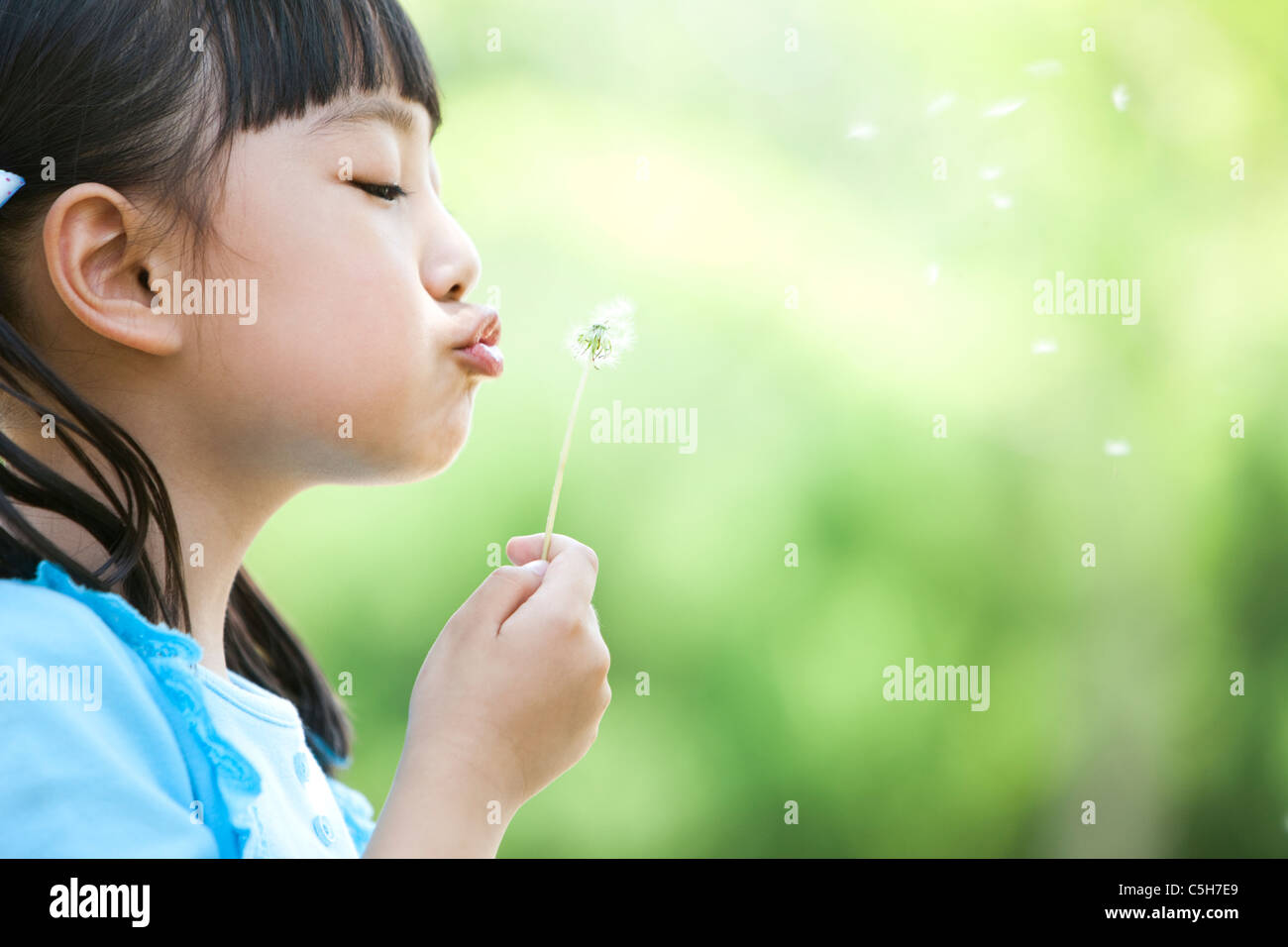 Young Girl Blowing Dandelion Stock Photo - Alamy