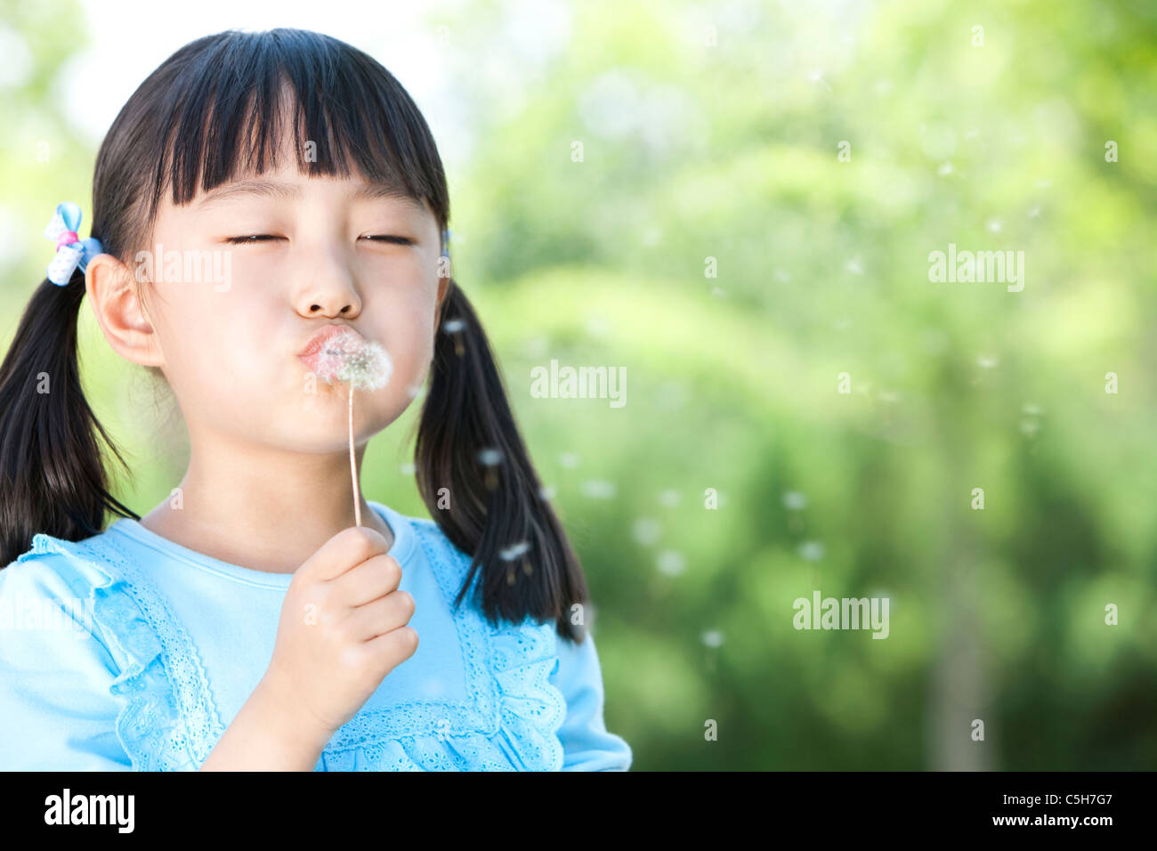 Young Girl Blowing Dandelion Stock Photo - Alamy