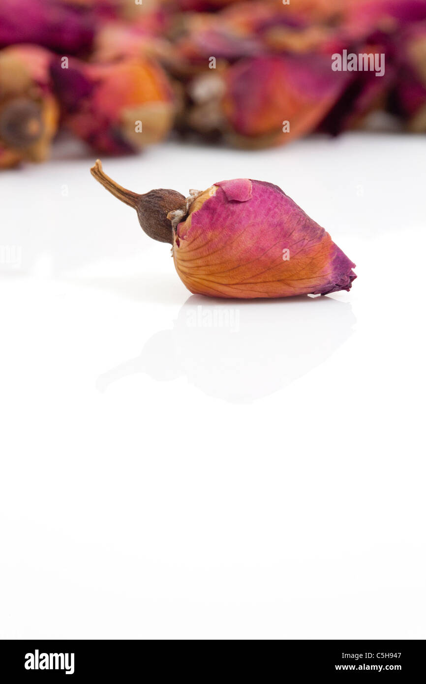 Close-up of a rose, Chinese Herbal Medicine Stock Photo - Alamy
