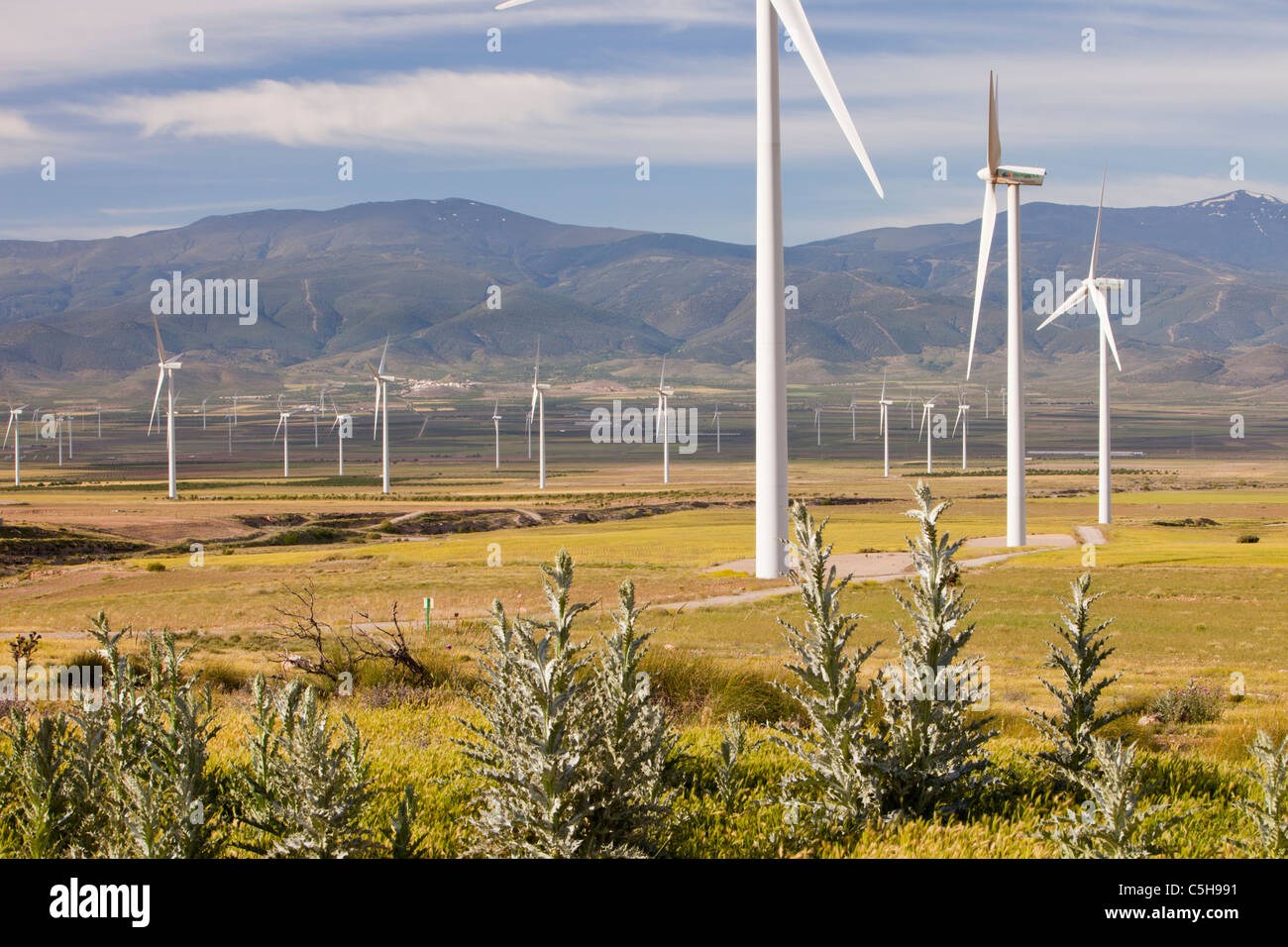 A wind farm near La Calahorra in Andalucia, Spain Stock Photo - Alamy