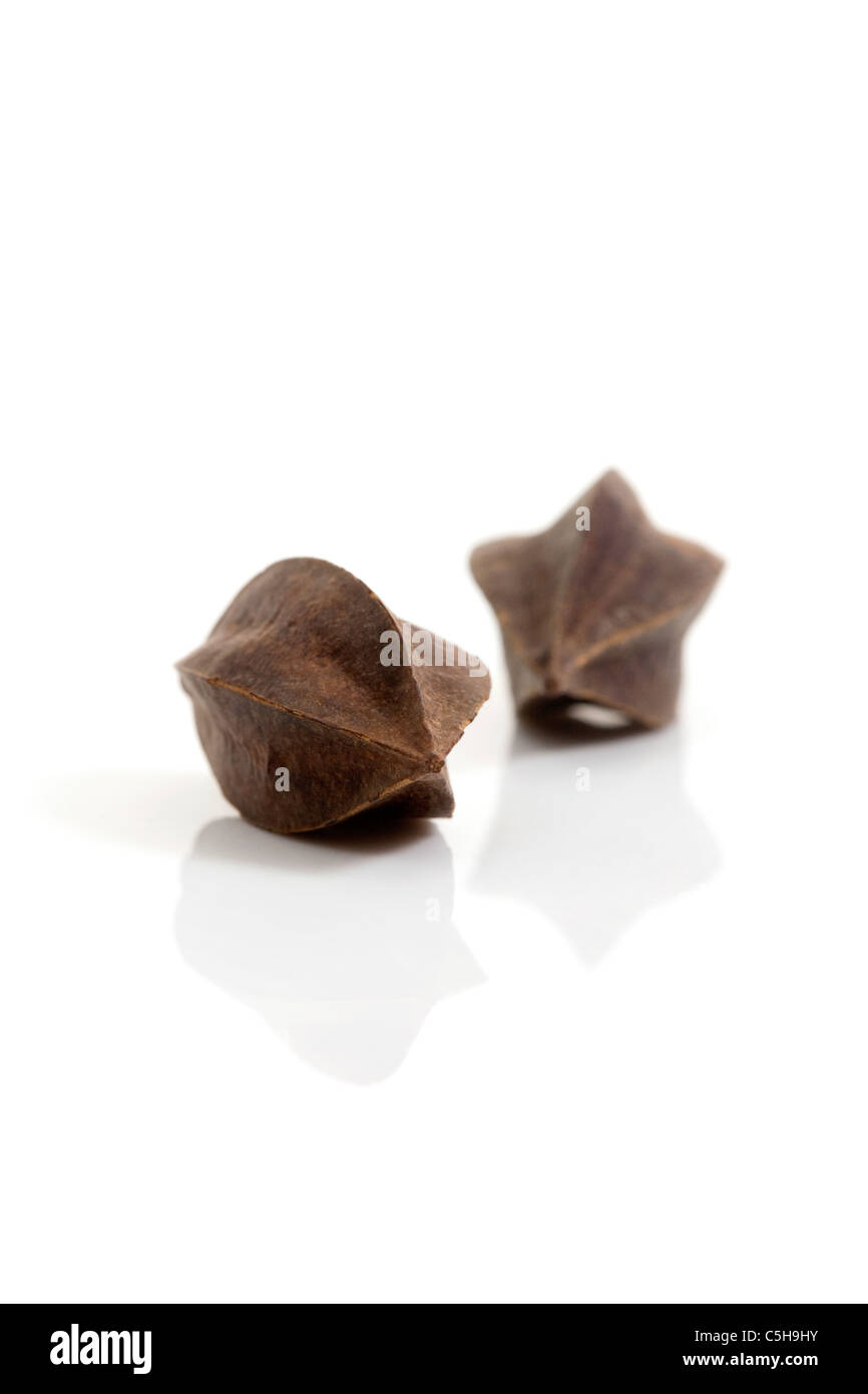 Plants in herbal medicine Cut Out Stock Images & Pictures - Alamy