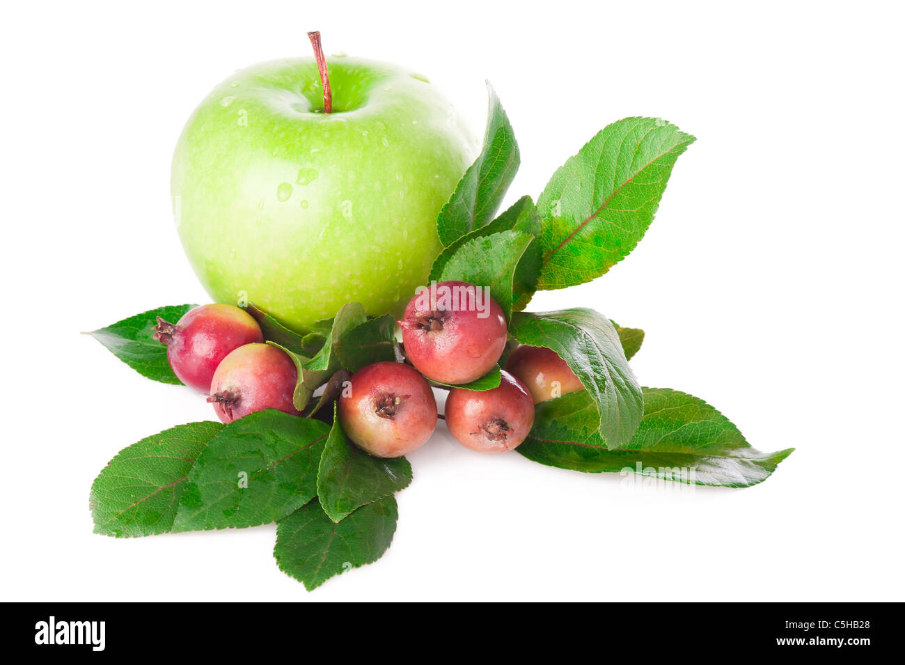 Apple Fruit With Leaf