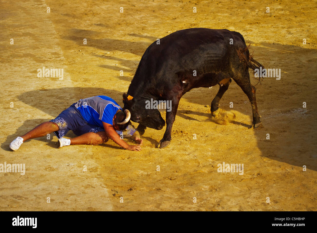 Monk pedro esteve hi-res stock photography and images - Alamy