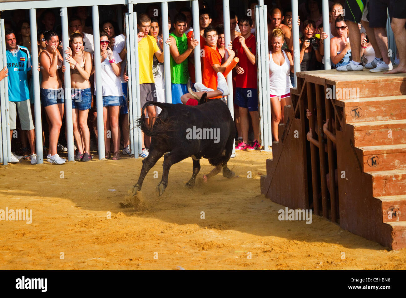 A man gets gored by a bull at the 'Bous a la Mar' or Bulls to the Sea ...