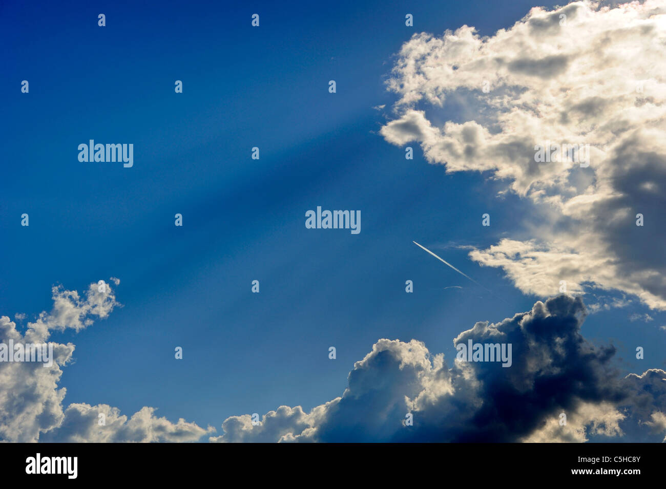 Flying rays hi-res stock photography and images - Alamy