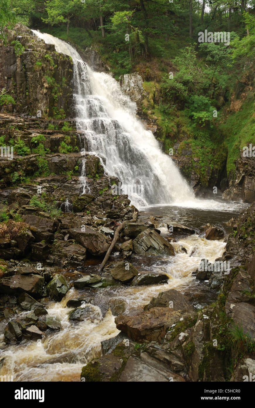 Pistyll Cain waterfall, Coed y Brenin, Snowdonia National Park, North ...