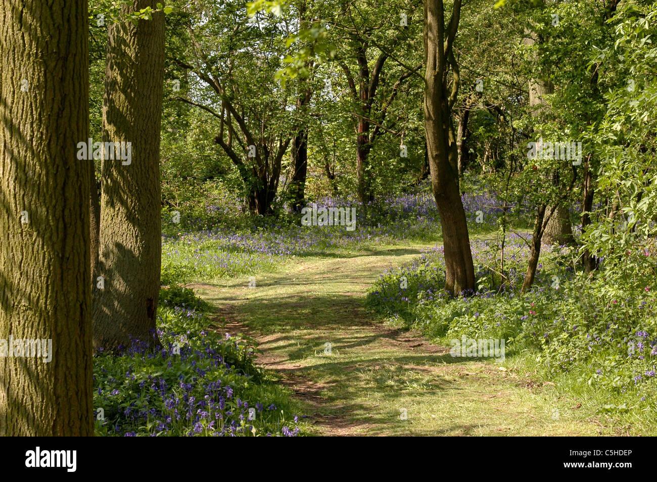 Yoxall staffordshire hi-res stock photography and images - Alamy
