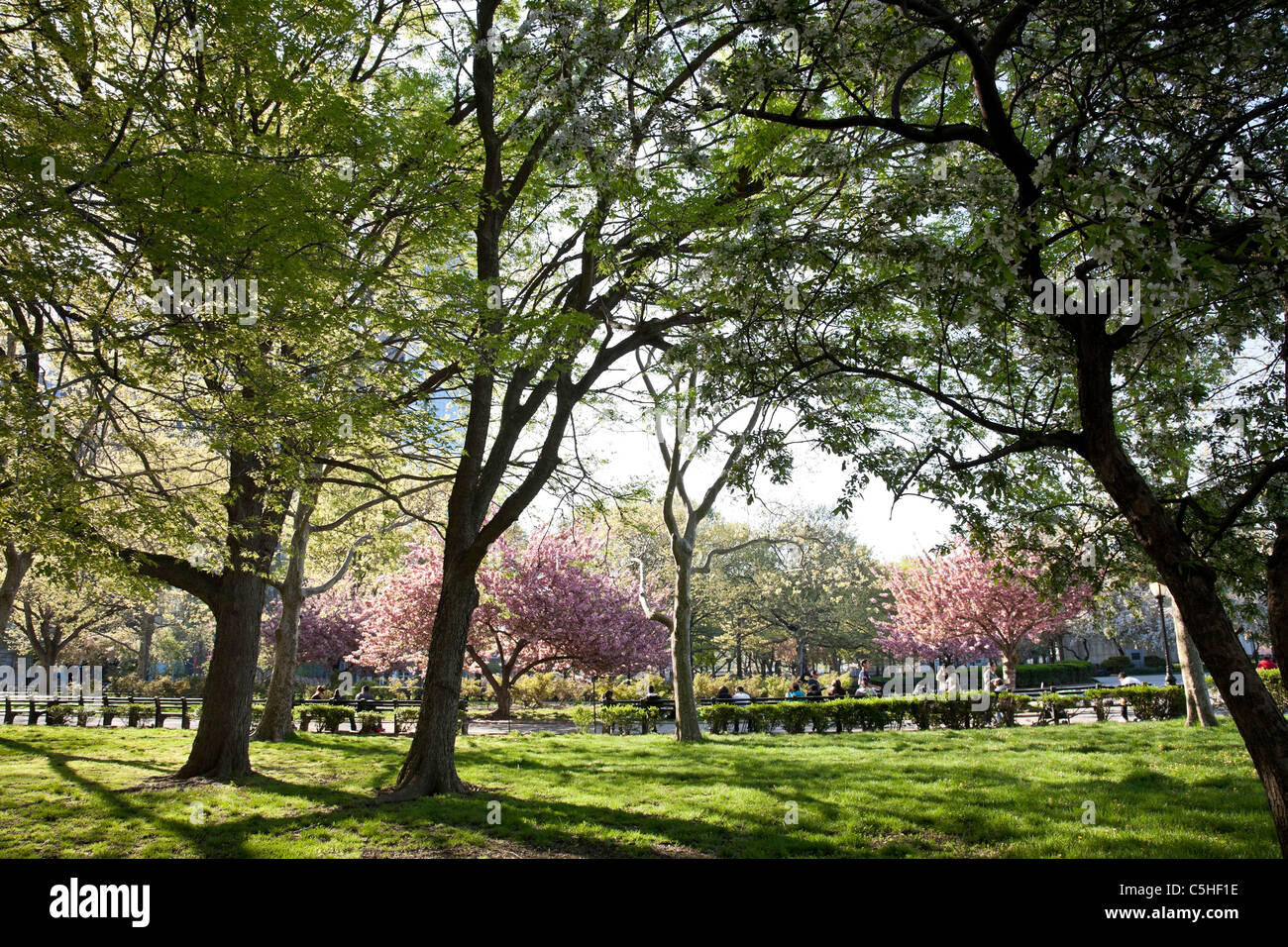 Lawn and Trees, Springtime, Battery Park, NYC Stock Photo - Alamy