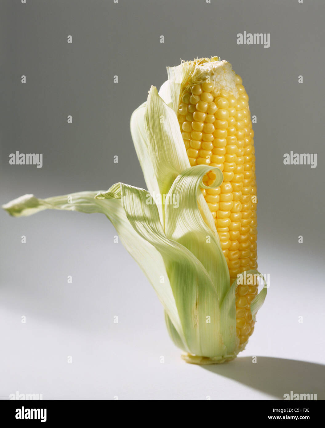 Cut out: Corn on the cob Stock Photo - Alamy