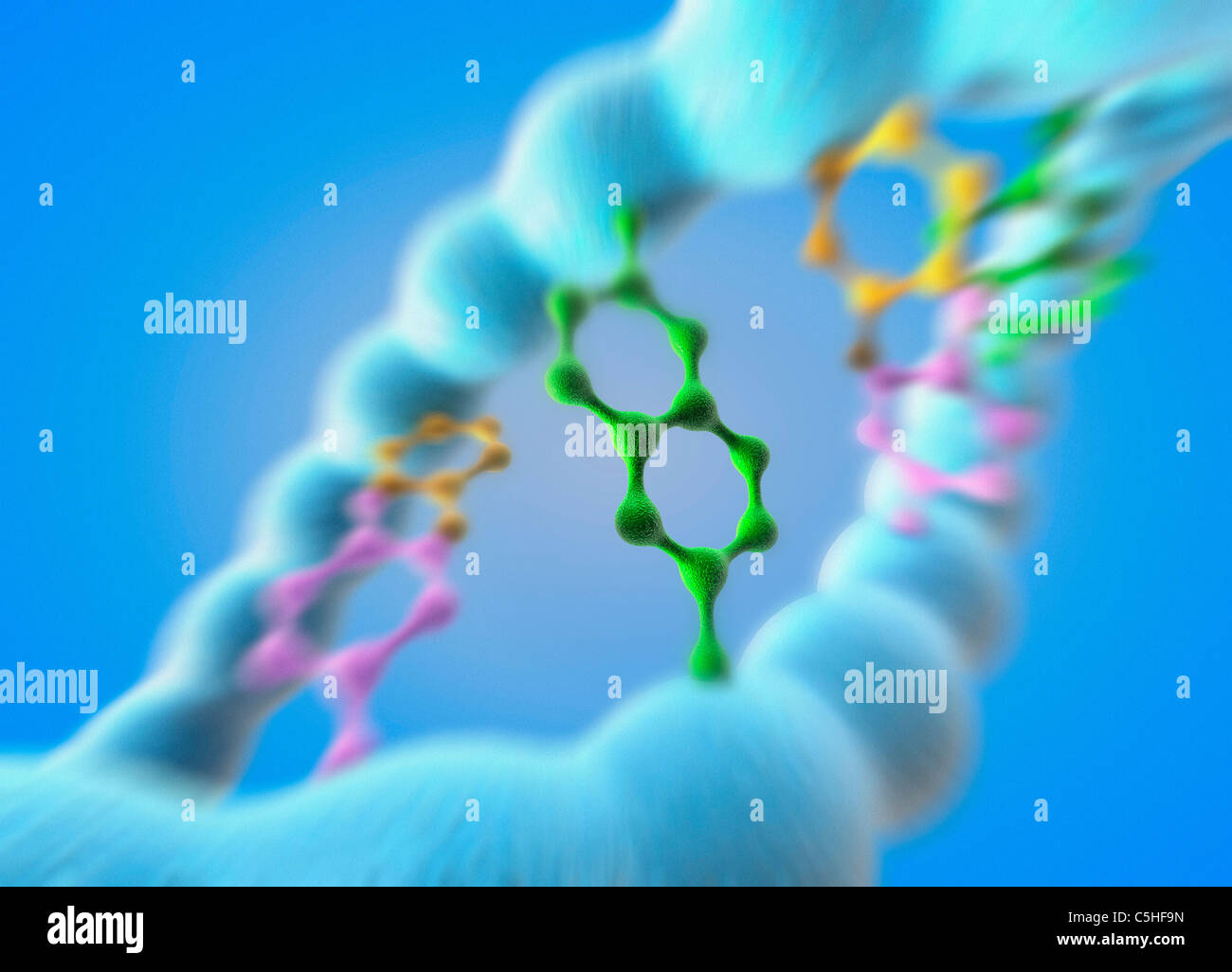 Double helix structure of the dna molecule hi-res stock photography and ...