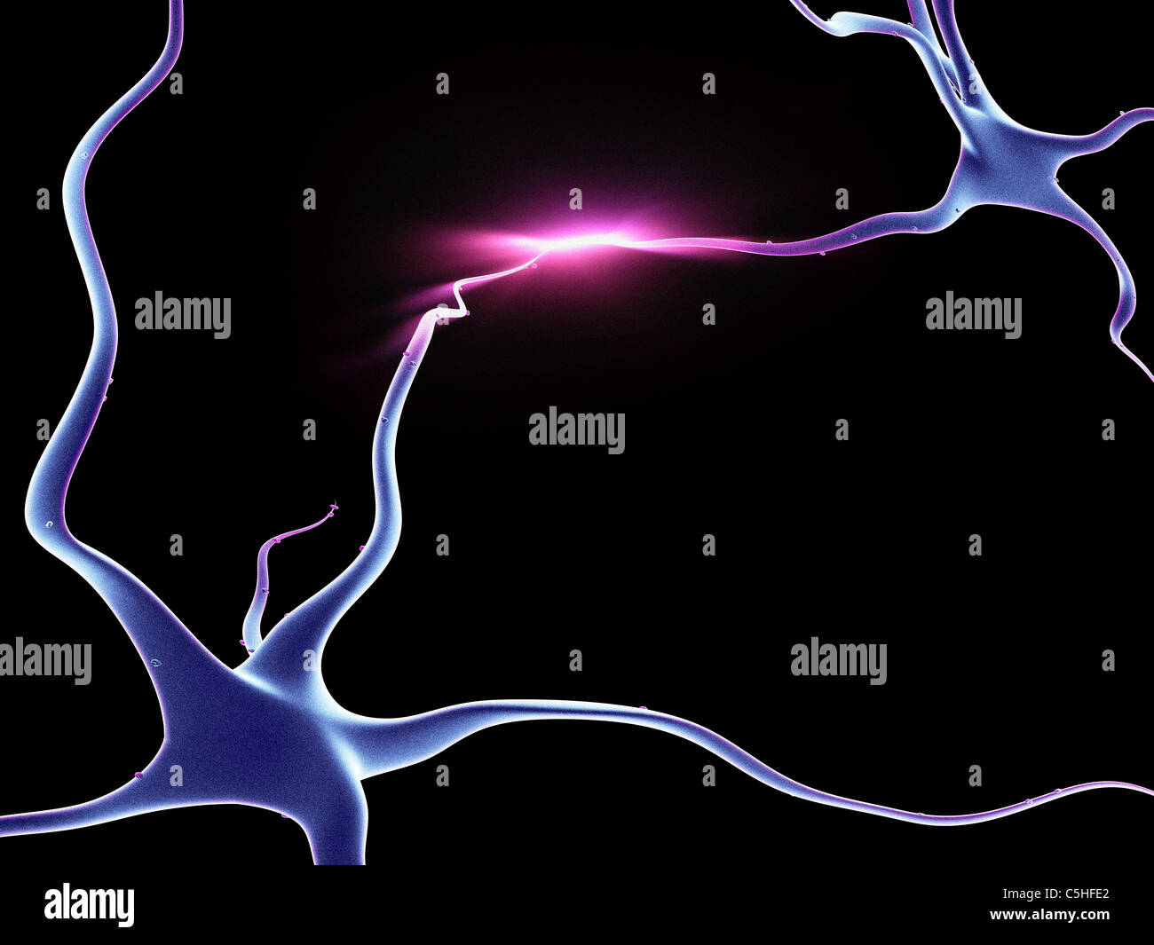 Nerve cells, neurons connected Stock Photo - Alamy