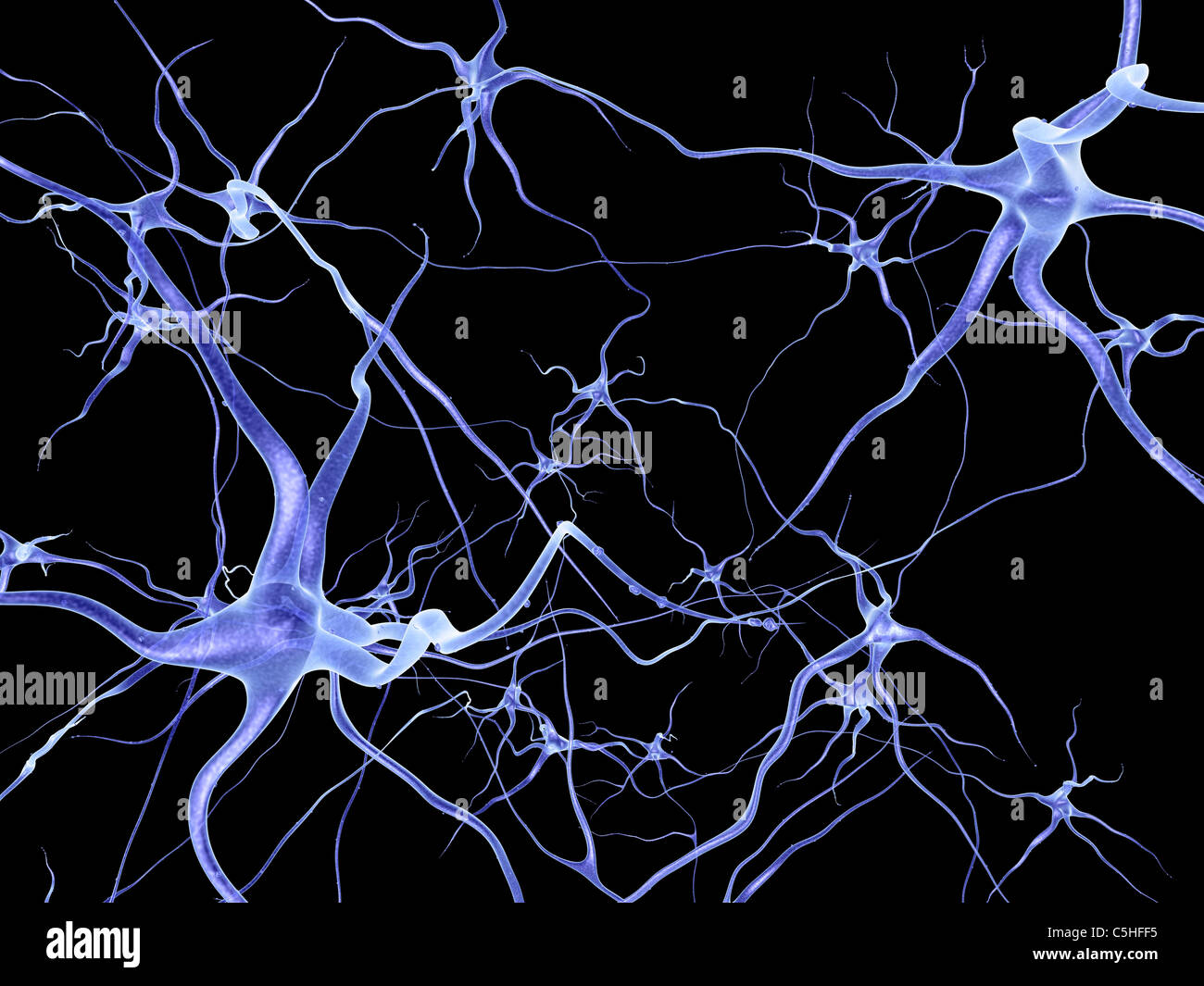 Neural Pathway High Resolution Stock Photography and Images - Alamy