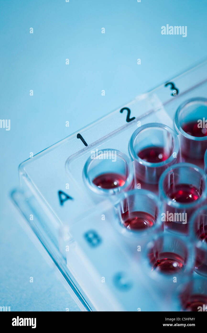 Multiwell sample tray Stock Photo - Alamy