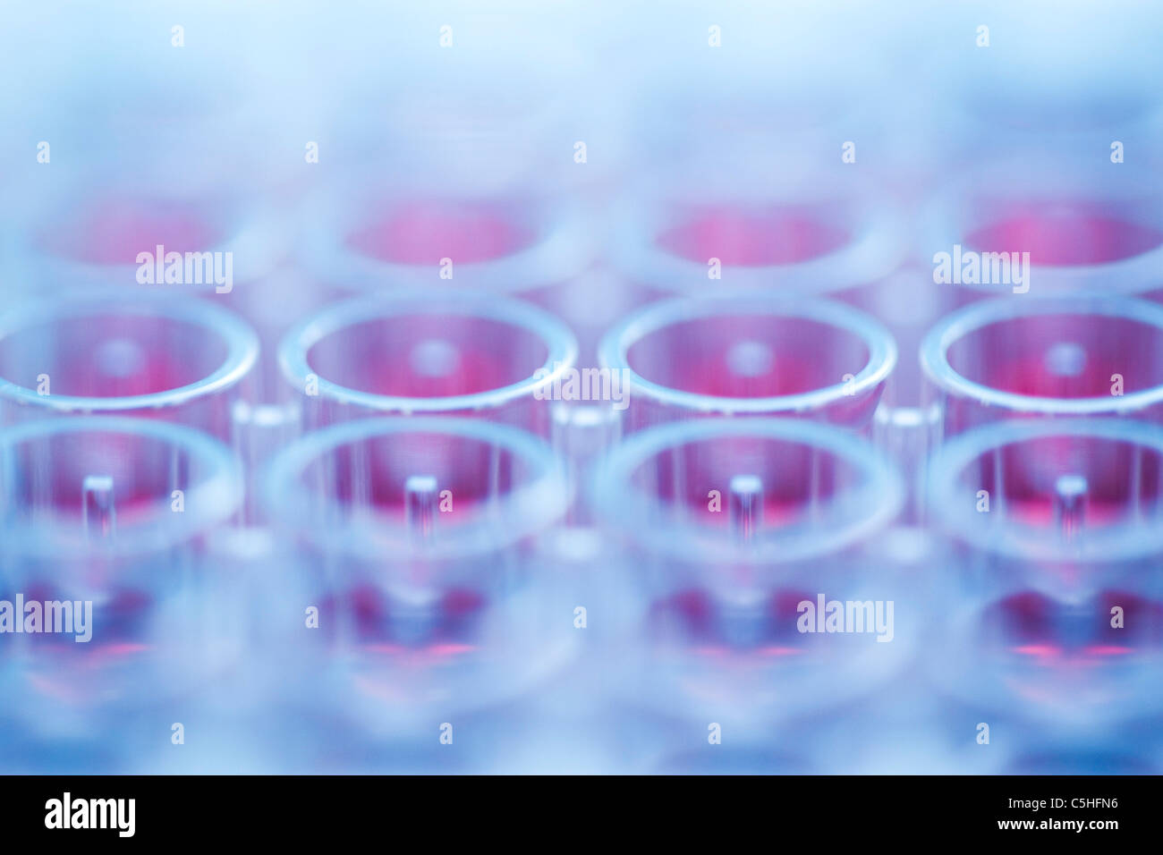 Sample frames hi-res stock photography and images - Alamy