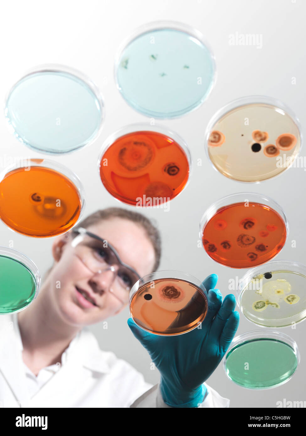 Observe culture researcher hi-res stock photography and images - Alamy