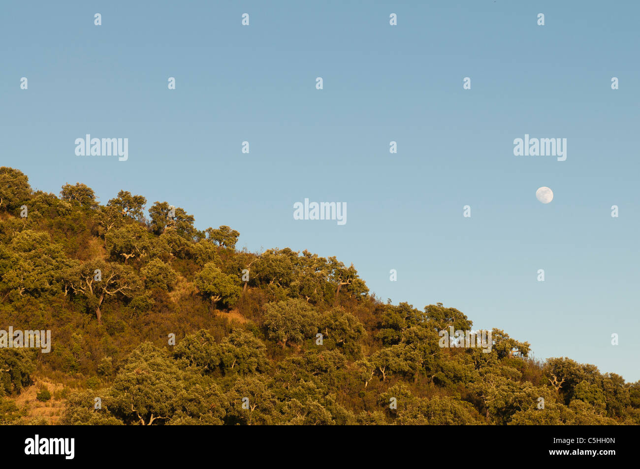 Evening sun on hills Stock Photo - Alamy