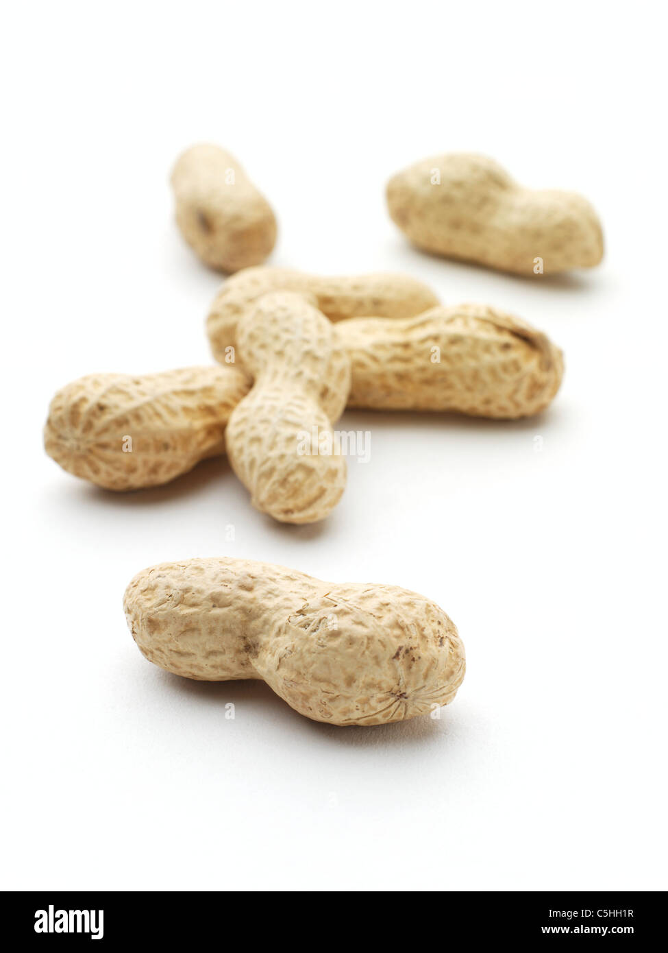 Monkeys nuts Cut Out Stock Images & Pictures - Alamy