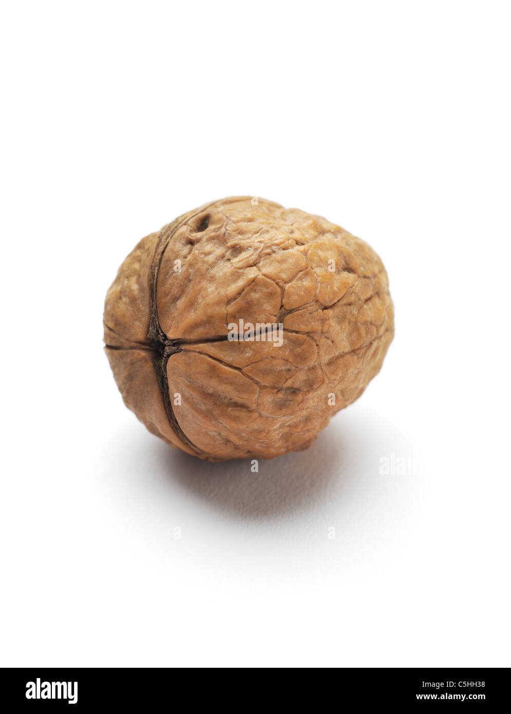 Walnut tree fruits Cut Out Stock Images & Pictures - Alamy