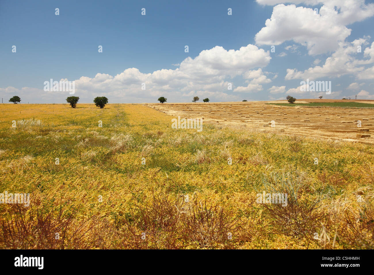 North western turkey High Resolution Stock Photography and Images - Alamy