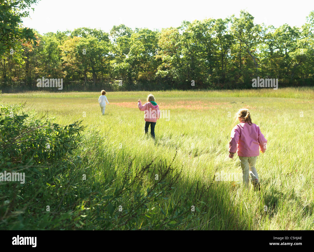 three kids running through meadow Stock Photo - Alamy