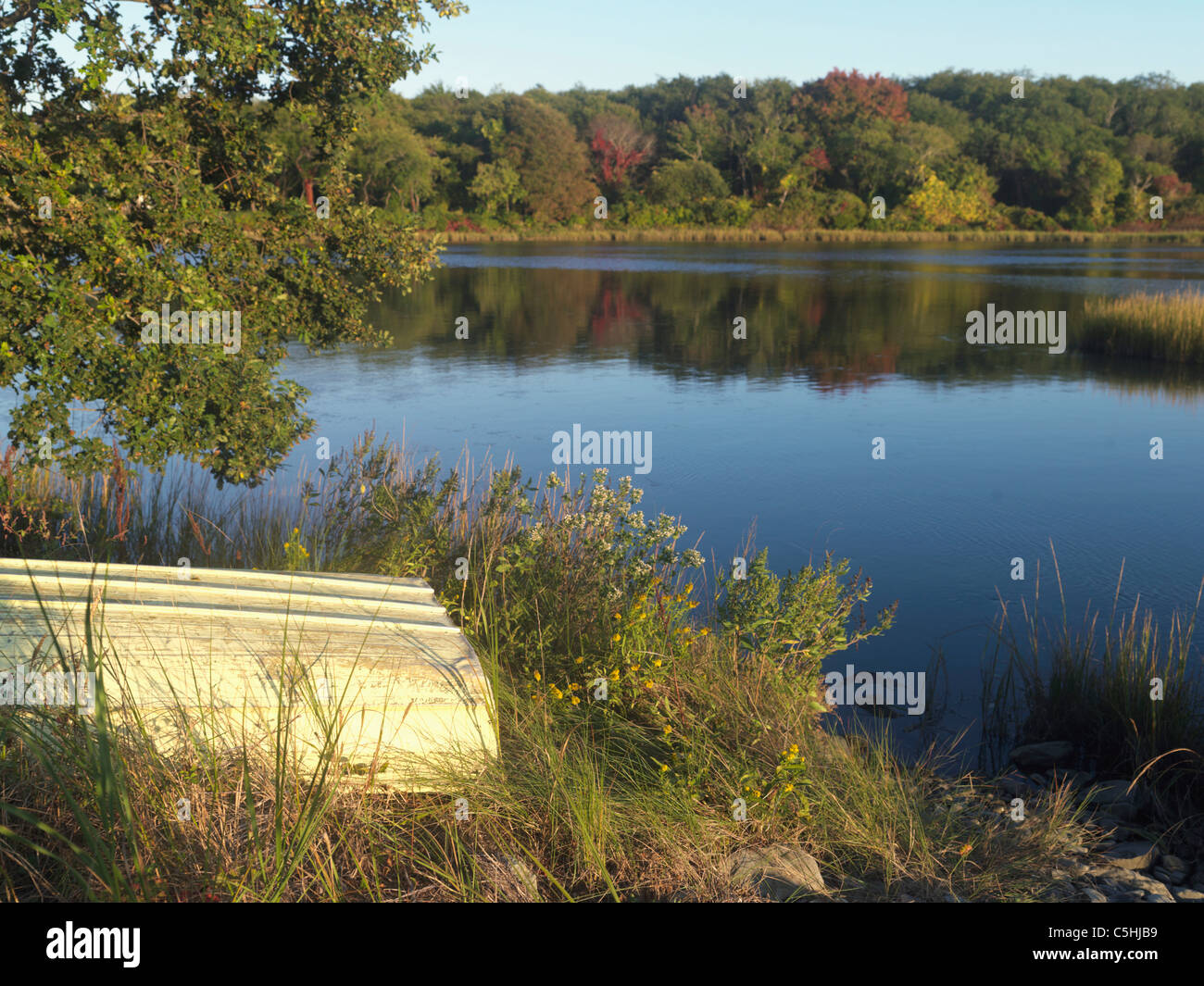 Wide back hi-res stock photography and images - Alamy