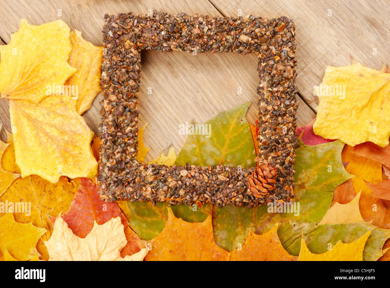 Empty photo frame with fallen leaves background Stock Photo - Alamy