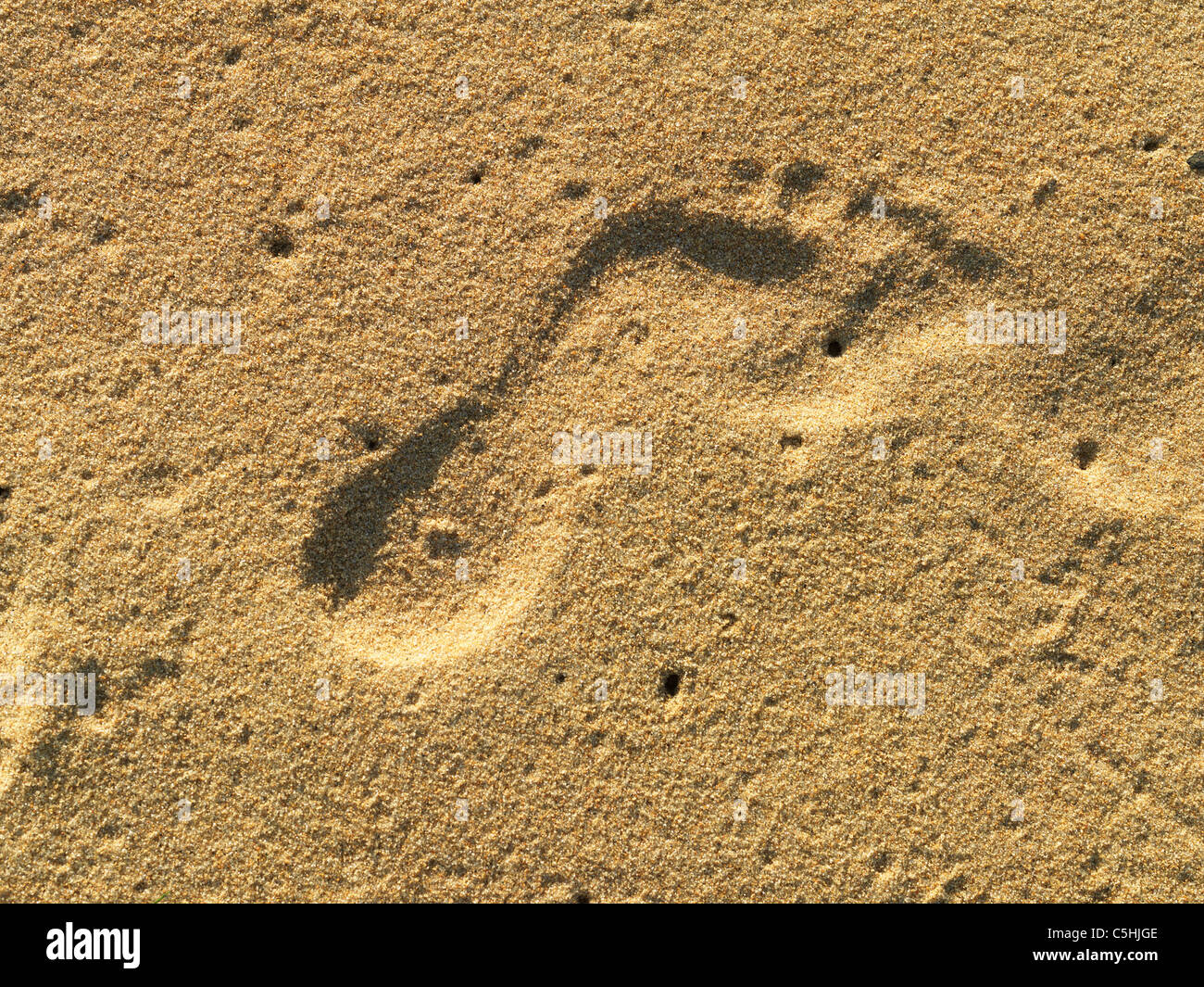 footprint in sand Stock Photo - Alamy