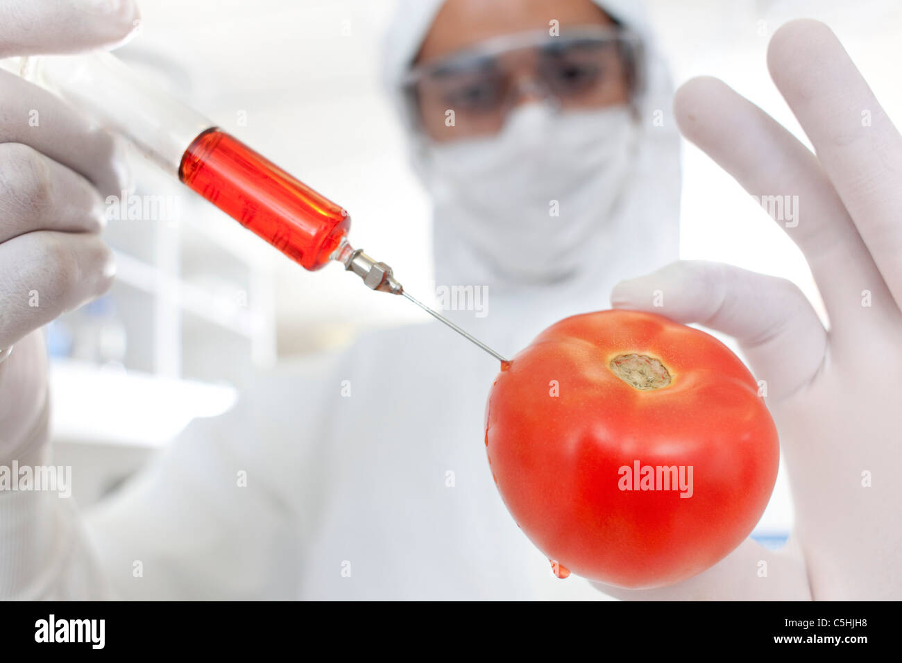 Genetically modified tomato Stock Photo - Alamy