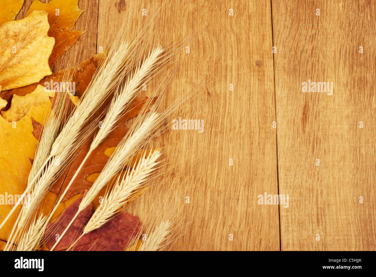 Grunge background with autumn leaves and wheat ears Stock Photo - Alamy