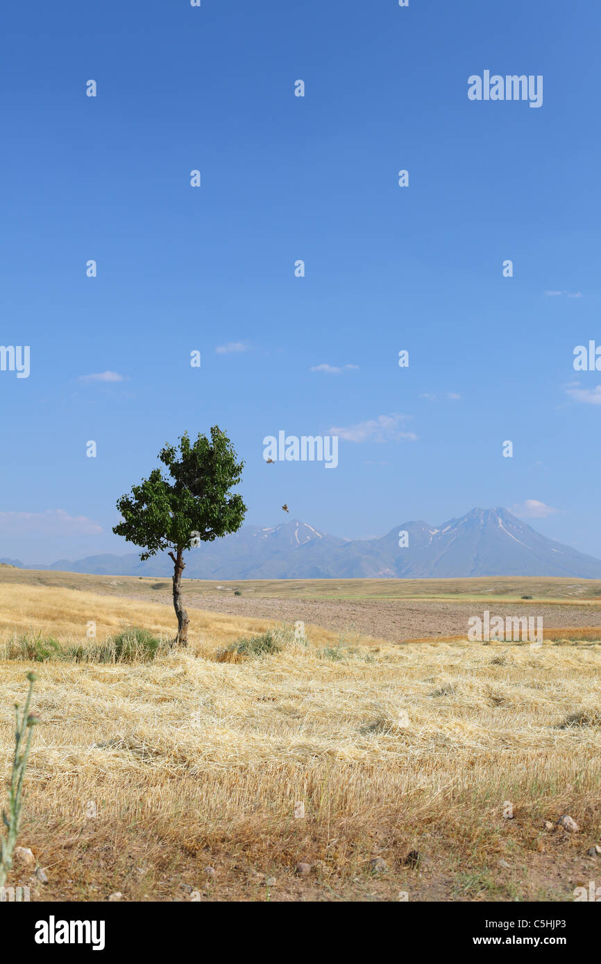 Hasan dagi volcano hi-res stock photography and images - Alamy