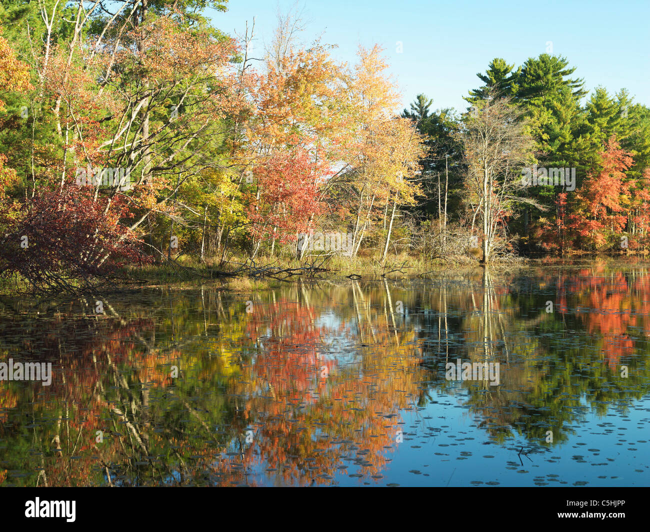 fall color reflected in water Stock Photo - Alamy