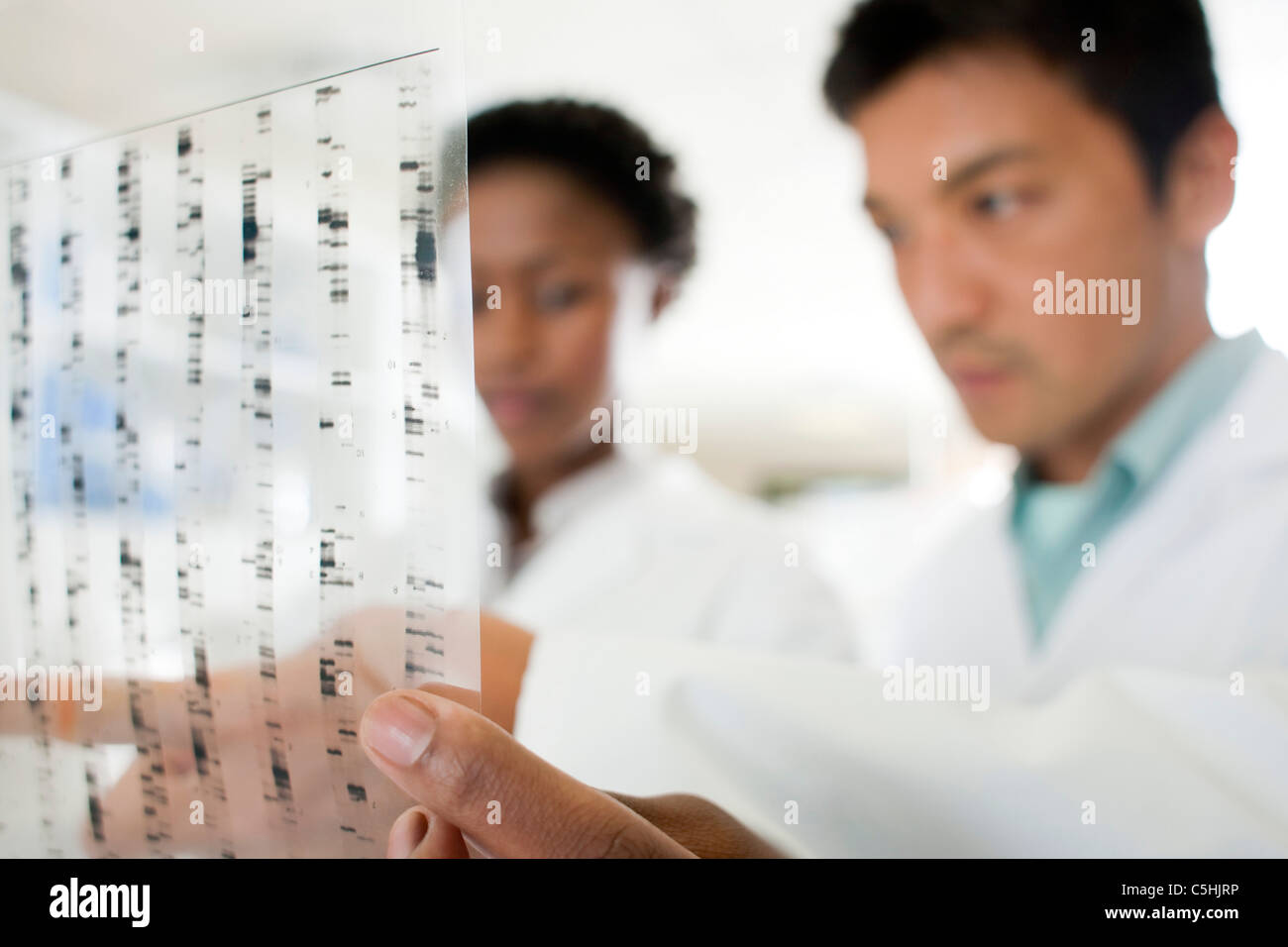 Genetic research hi-res stock photography and images - Alamy