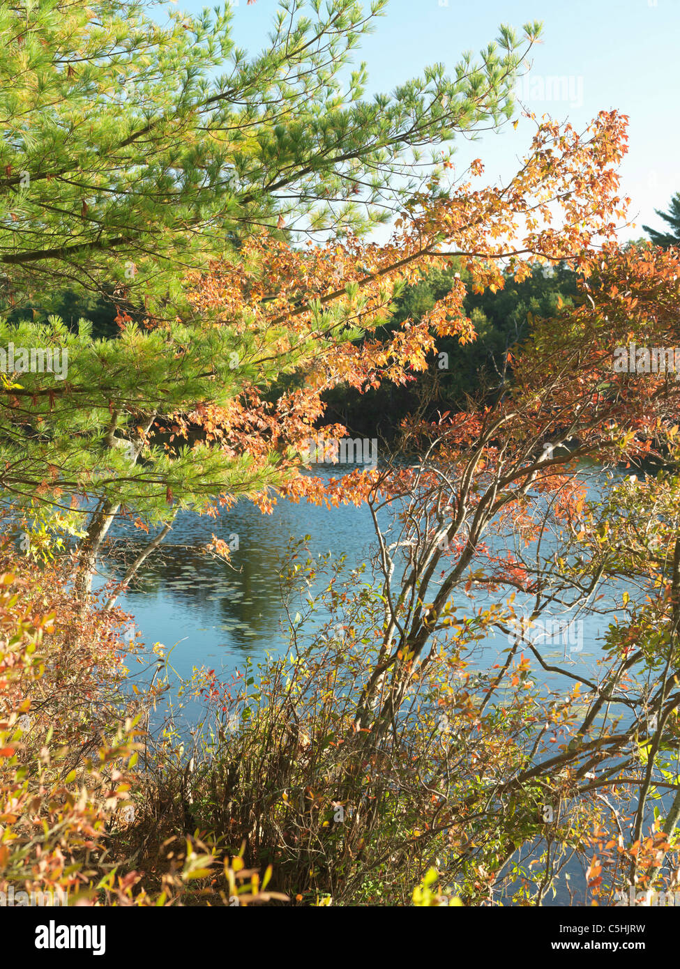 fall color by lake Stock Photo - Alamy